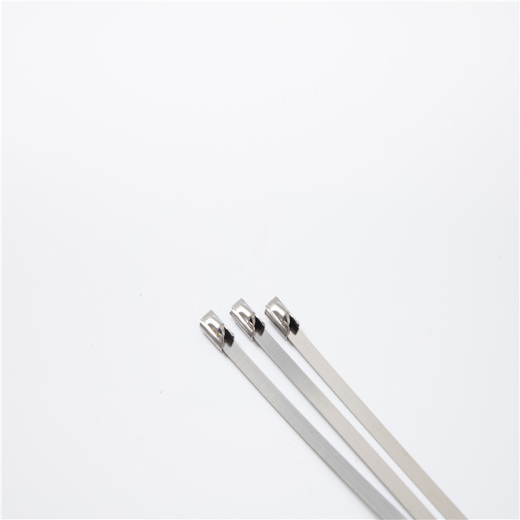 SS316 SS321 Nylon Coated Stainless Steel Cable Ties SS316 SS321 Nylon Coated Stainless Steel Cable Ties